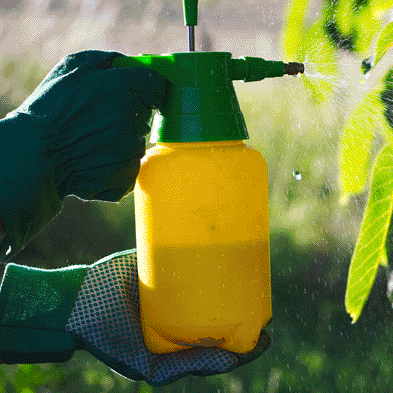 Pesticide Safety – University of Illinois Extension