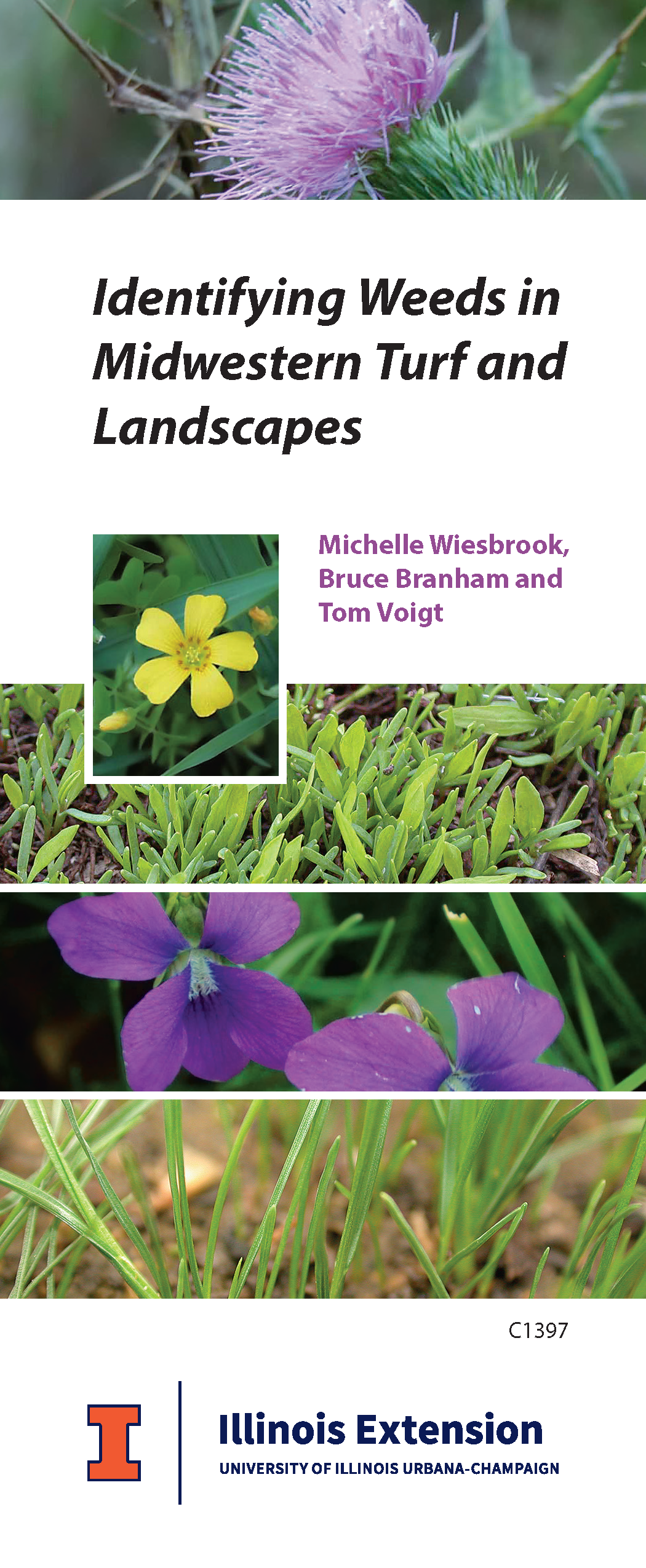 C1397 - Identifying Weeds in Midwestern Turf and Landscapes ...