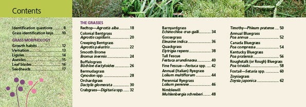 Weedy Grass Identification Chart Latest News Cooperative Extension