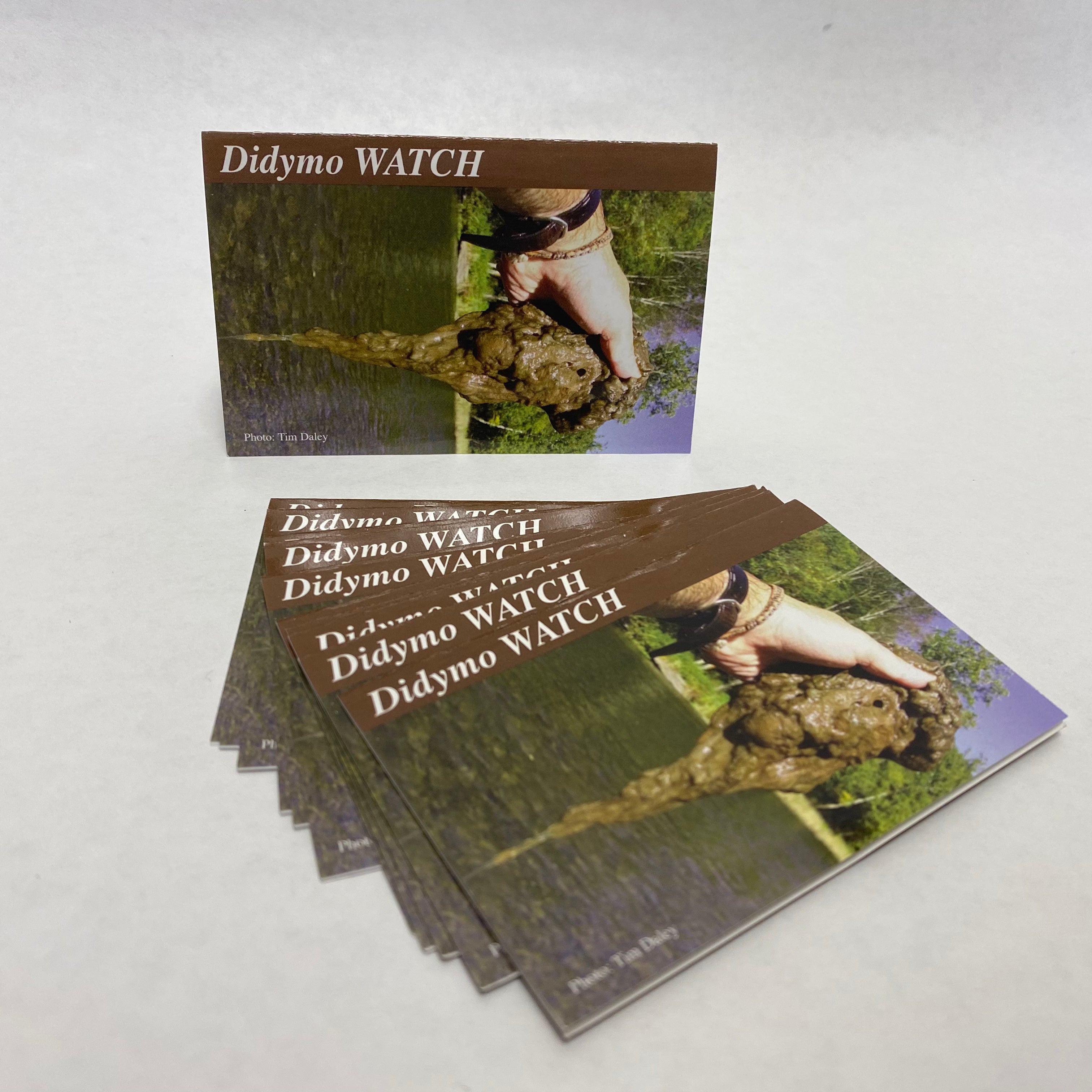 Didymo-IDCard-12 - Didymo — Identification Card – University of ...