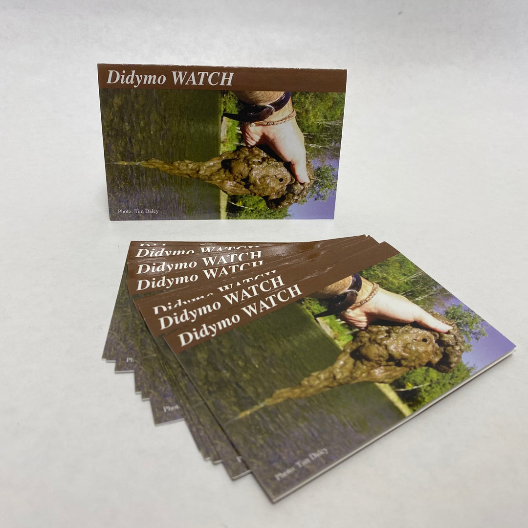 Didymo-IDCard-12 - Didymo — Identification Card – University of ...