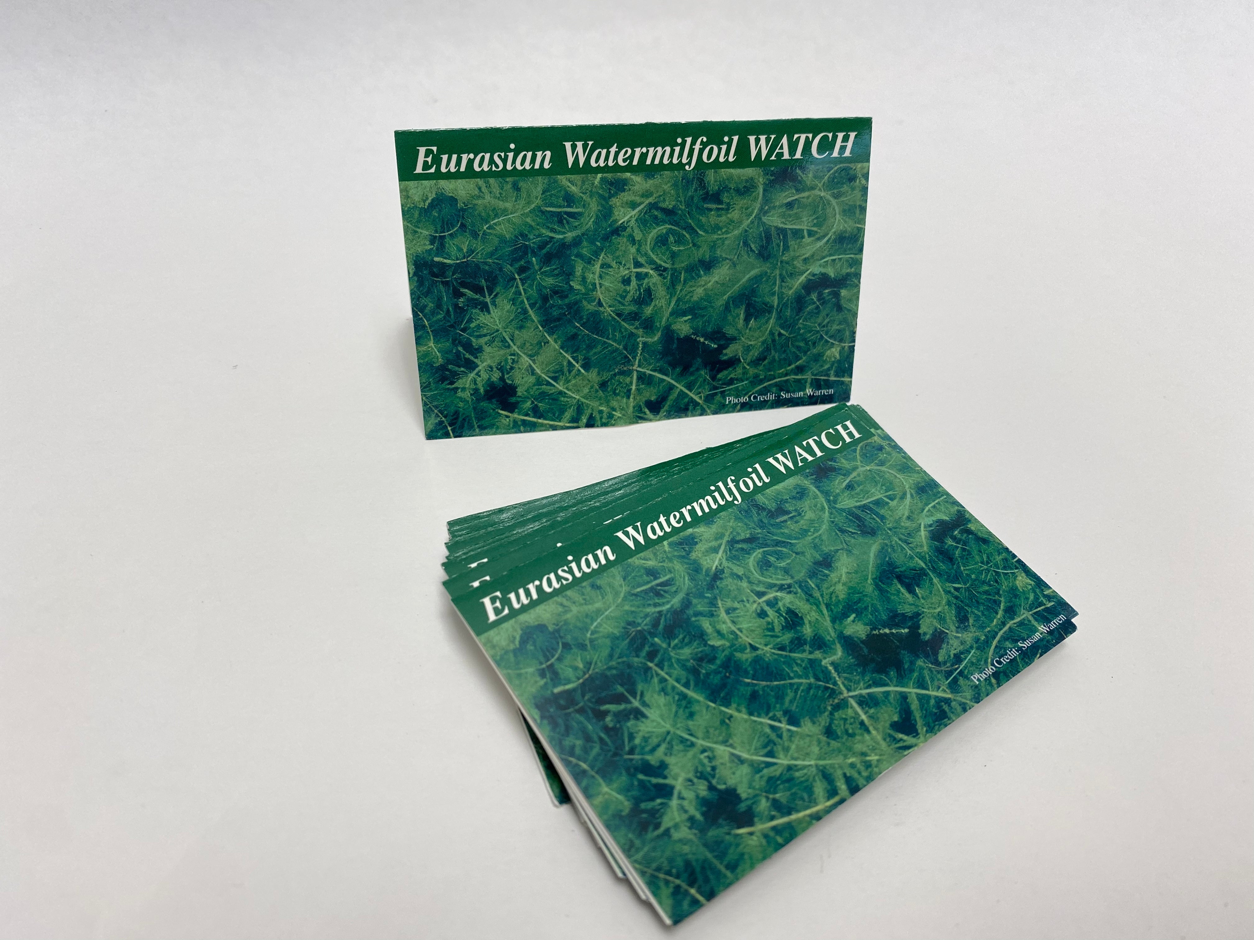 EW-IDCard-15 - Eurasian Watermilfoil — Identification Card – University ...