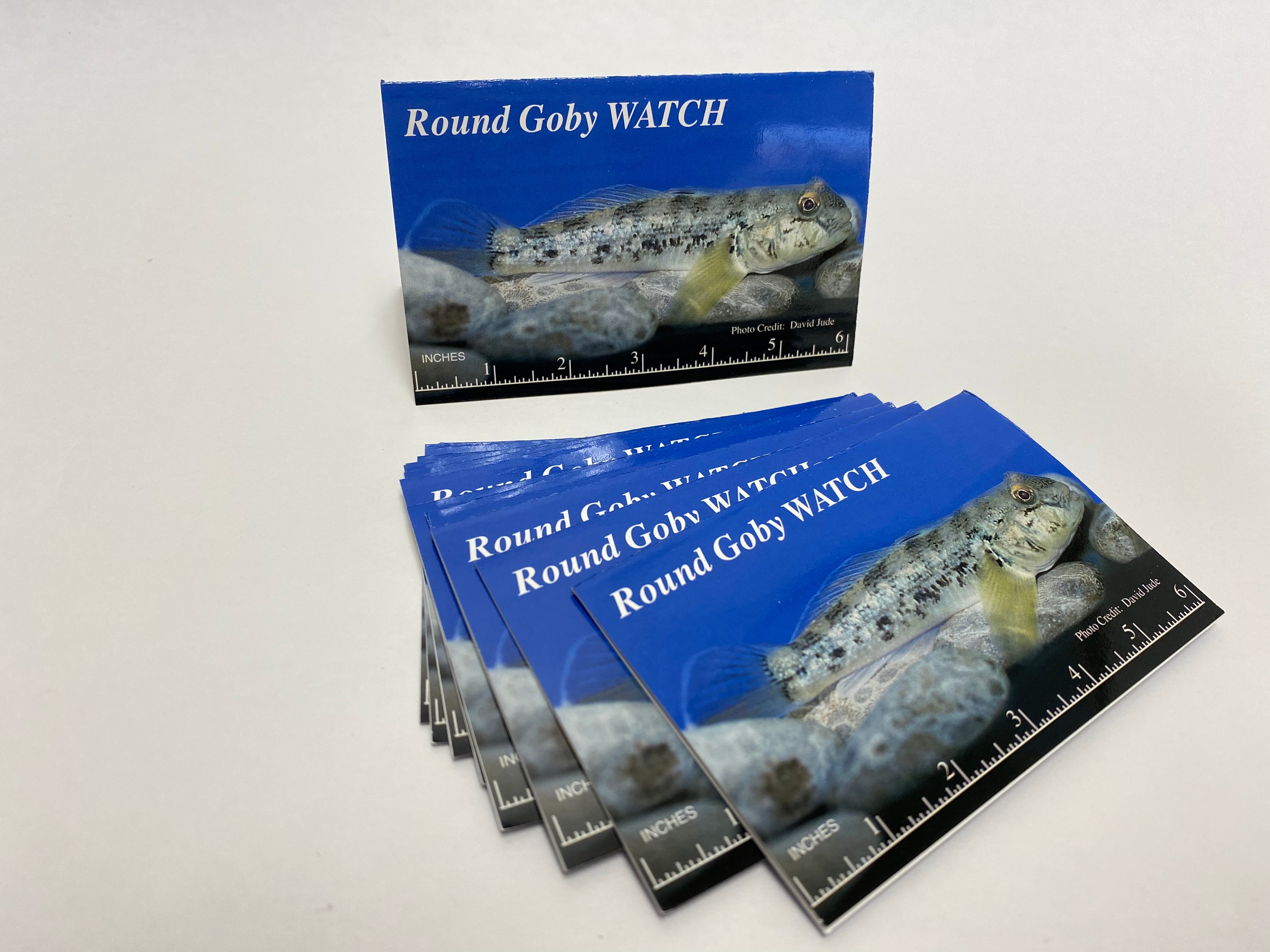 RG-IDCard-15 - Round Goby — Identification Card – University of ...